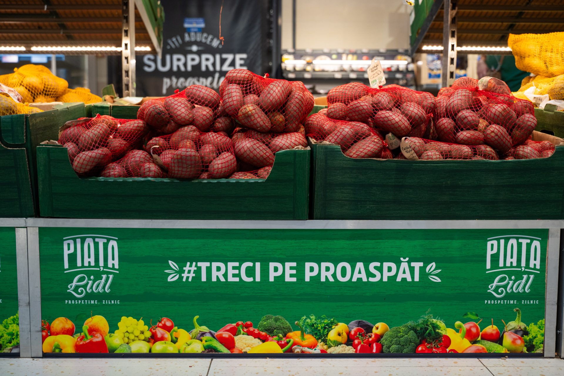 Lidl a cumpărat 100.000 de tone de fructe şi legume româneşti - Focus ...